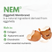 Collagen NEM® & Turmeric Extract – HCL HERBAL CODE LABS