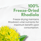 Rhodiola Rosea Supplement – HCL HERBAL CODE LABS