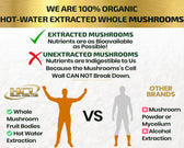 Organic Mushrooms Extract – Herbal Code Labs Nutrition