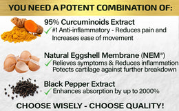 Collagen NEM® & Turmeric Extract – Herbal Code Labs Nutrition